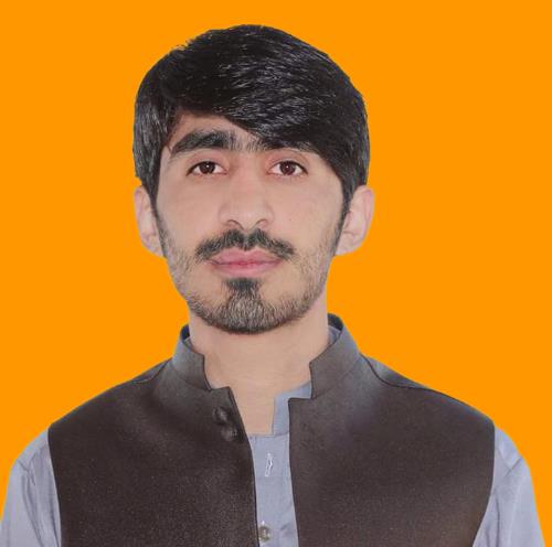 Muhammad N. Numan - Computer Programming, Computer Science Online tutor - Classgap